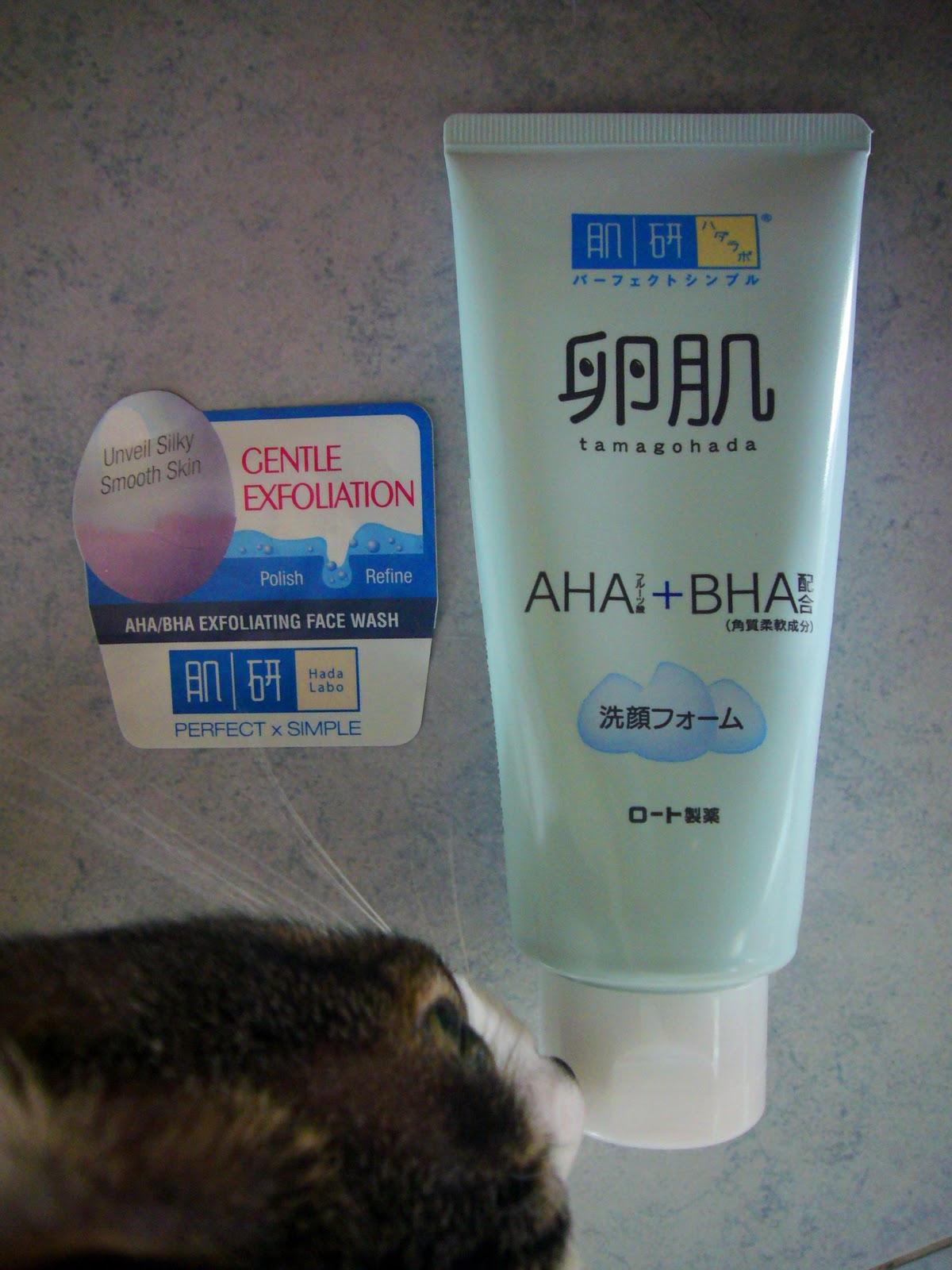 Sleepy Beauty : Hada Labo AHA / BHA Exfoliating Face Wash