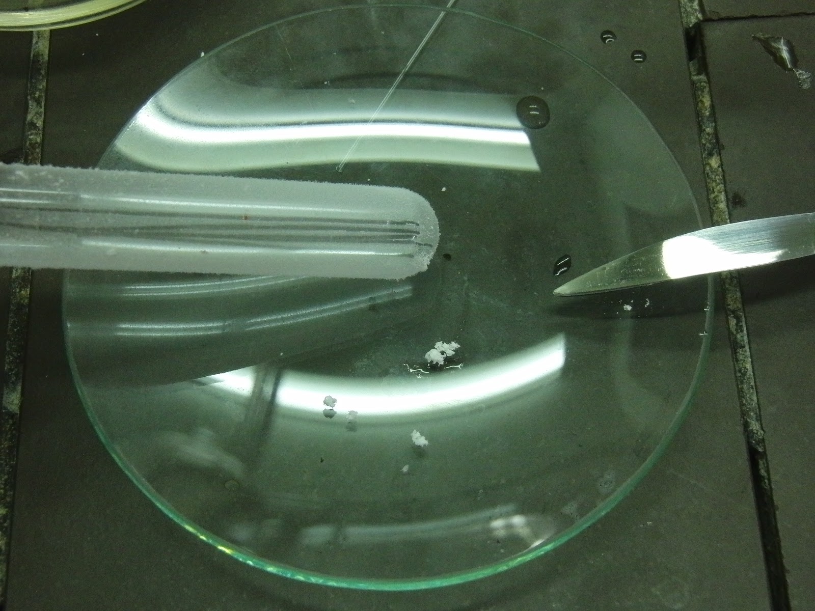 Lu Le Laboratory: Sublimation - Extraction Caffeine from Tea Leaves ...