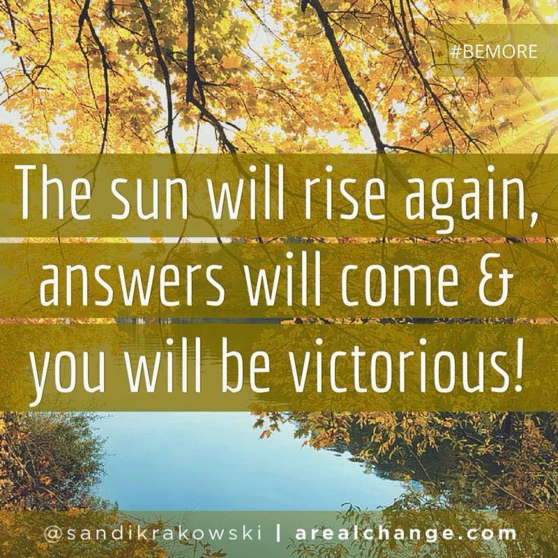 Reflexiones: rise again