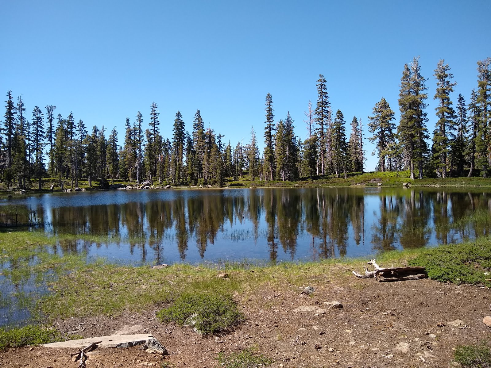 NorCal Dog Trails: Mt Elwell Loop