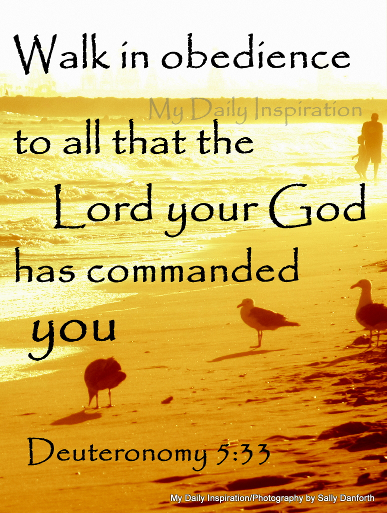 Walk in obedience