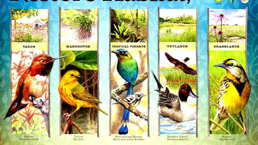 United States Fish and Wildlife Service list of endangered mammals and ...