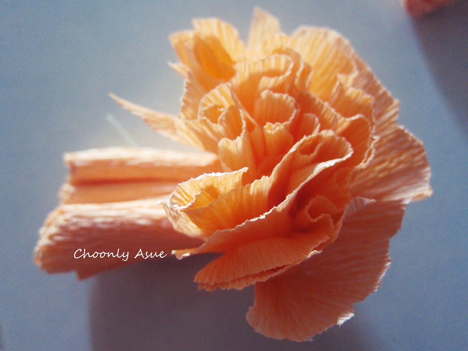 DiY bunga tisue tapi pakai crepe paper | AsueIskandar