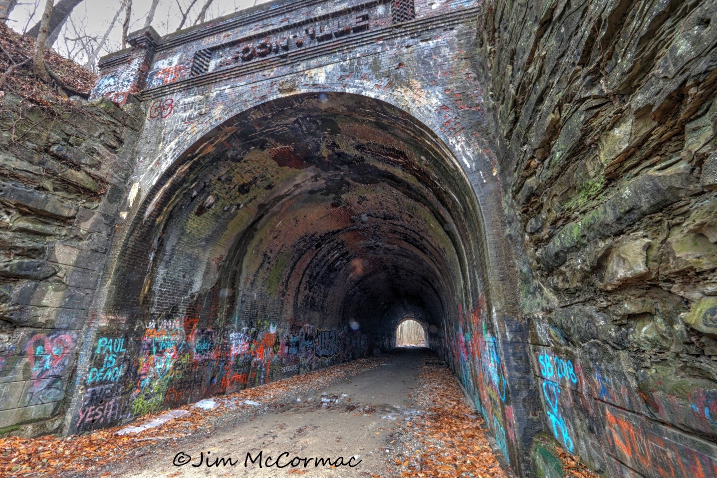 Ohio Birds and Biodiversity: A gray day trip to the Moonville Tunnel
