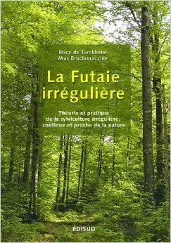 French Vocabulary Illustrated: futaie