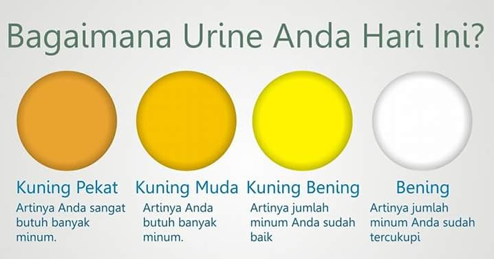 Warna Air Kencing Menentukan Hydration Badan Anda. - Blogbabyshambles.. ♥