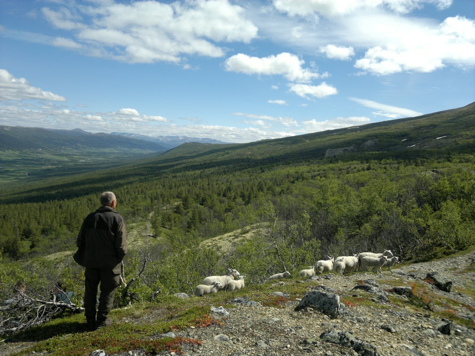 Lesjaskog skule skriv. Valfag u-skule: juni 2013