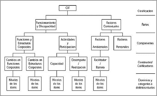 Natalia Castilla TO: Modelo de la Clasificación internacional del ...