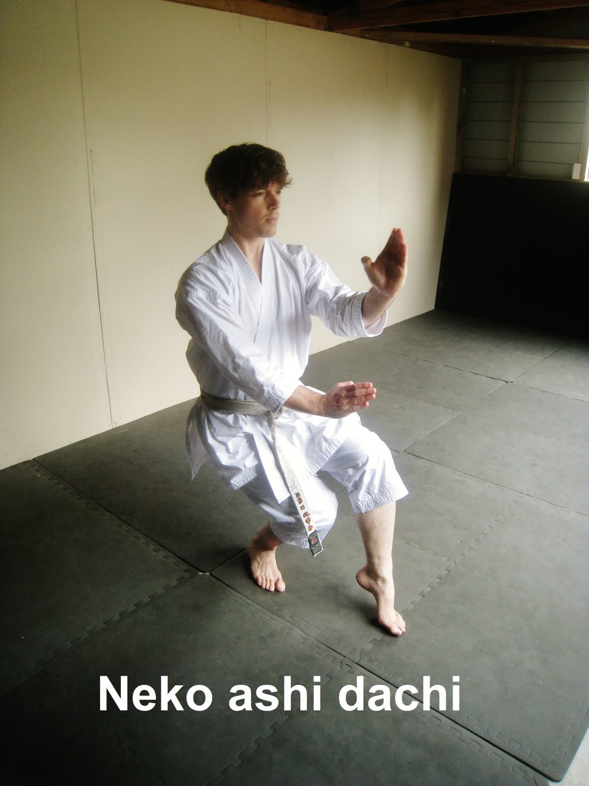 André Bertel's Karate-Do: Taking a stance!