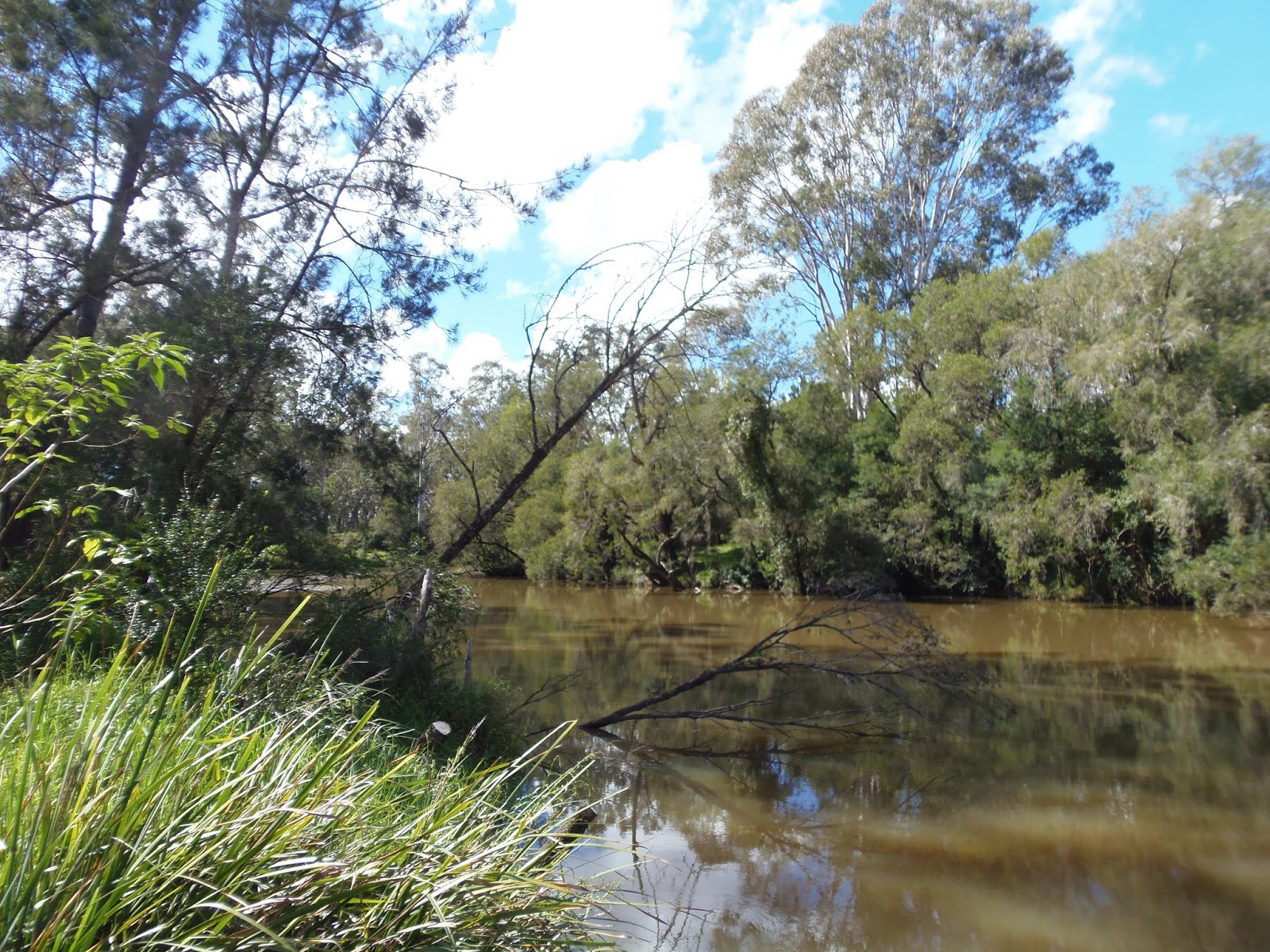 Solo Steve On The Road: TOOLOOM FALLS NSW