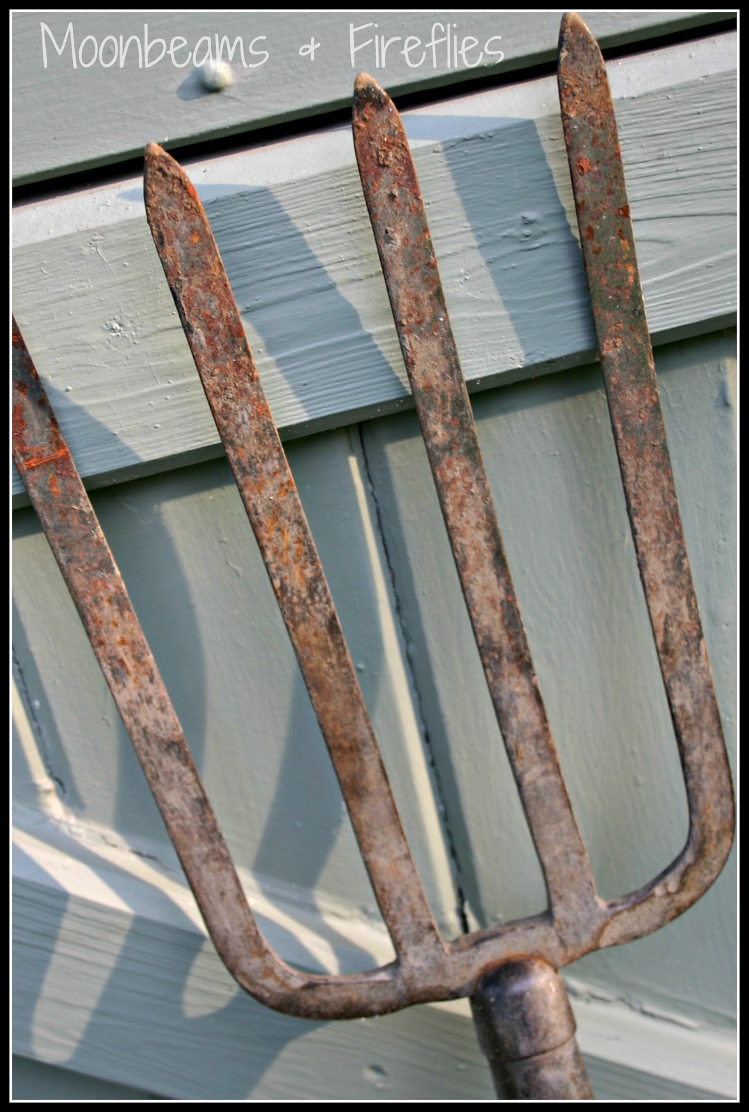 Moonbeams & Fireflies: June 2012