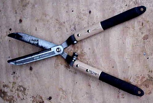 ZeroBear Blog - The Adventures of a Southern PolyBear: The Art of Hedge ...