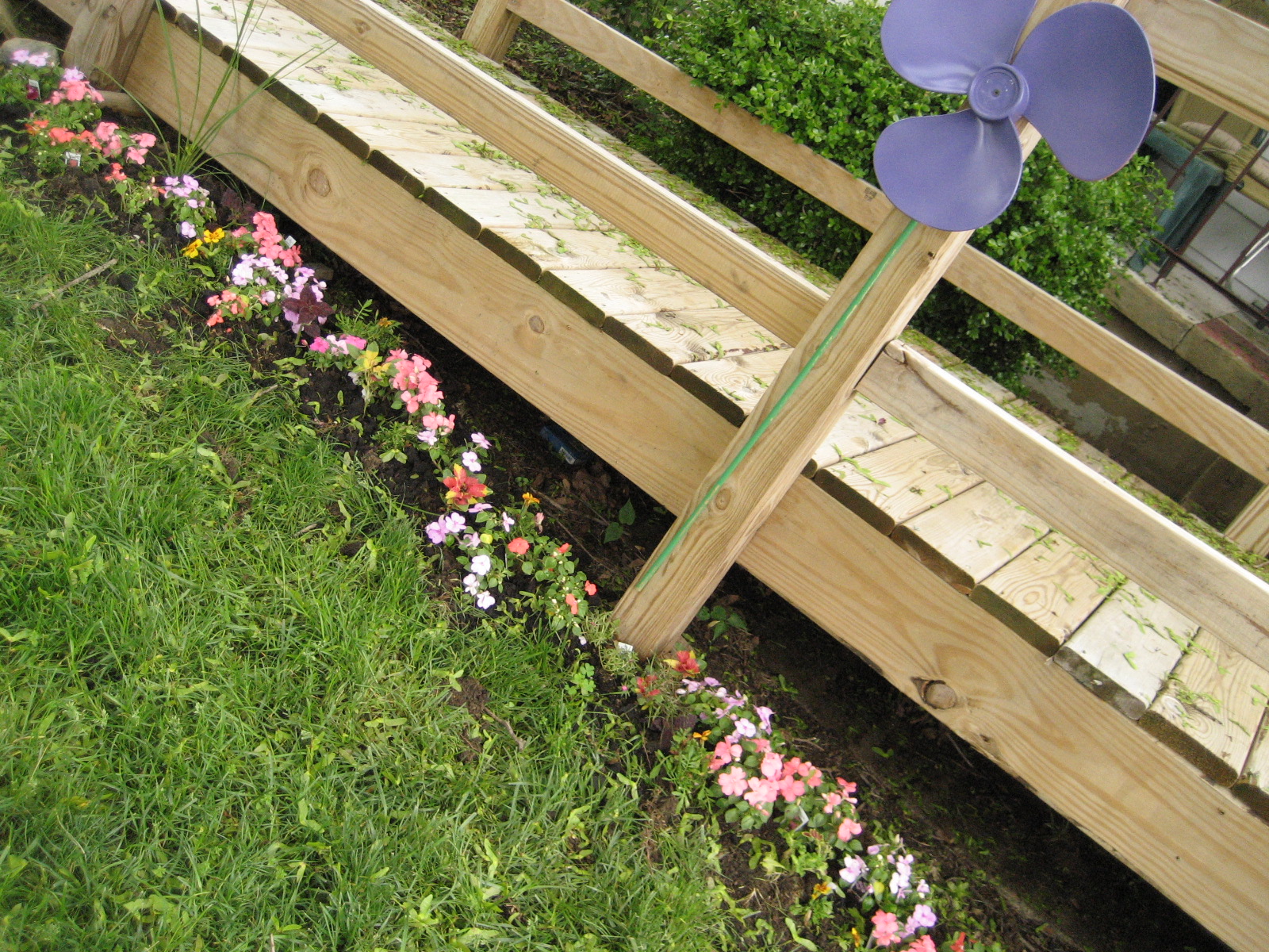 Lollipops and Pickles: 05/11/13