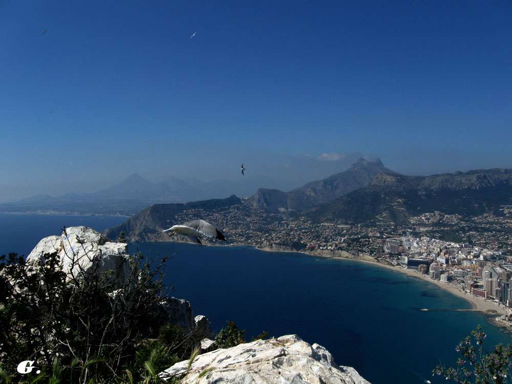 UN SOÑADOR POR LAS CUMBRES: El Peñón de Ifach, otra vez