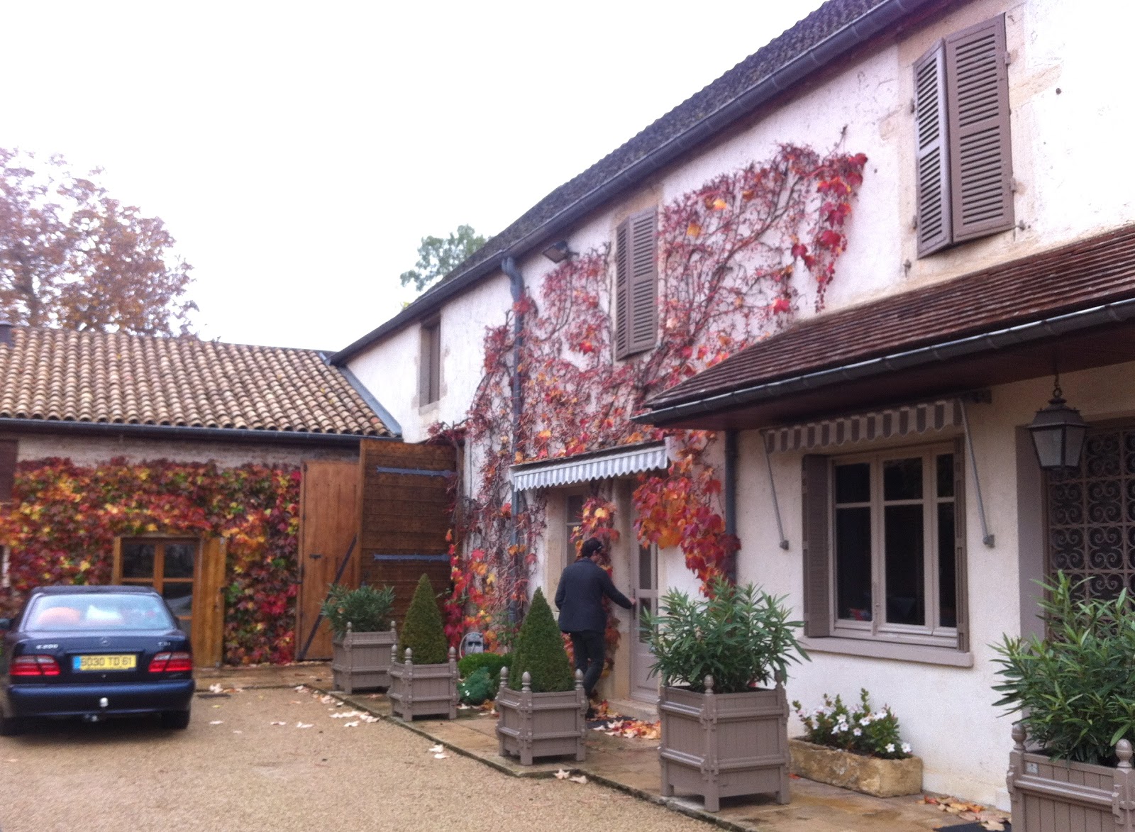 not drinking poison in paris: n.d.p. in burgundy: domaine guy roulot ...