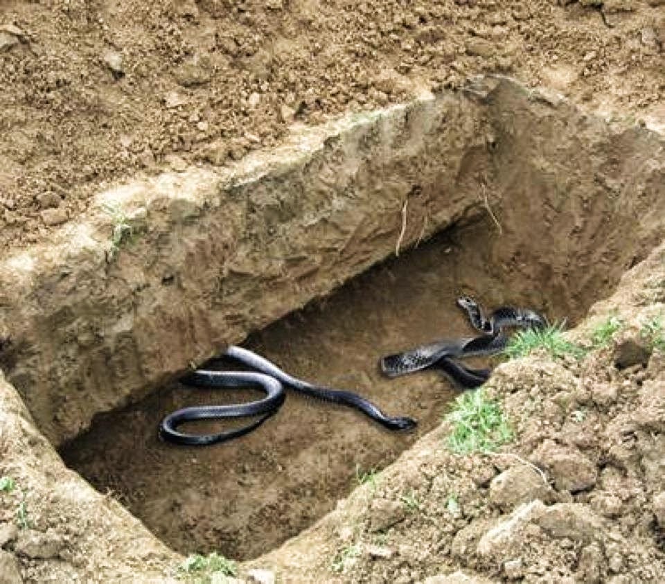 Ilmu Akhir Zaman: KEDAHSYATAN SIKSAAN DI ALAM KUBUR