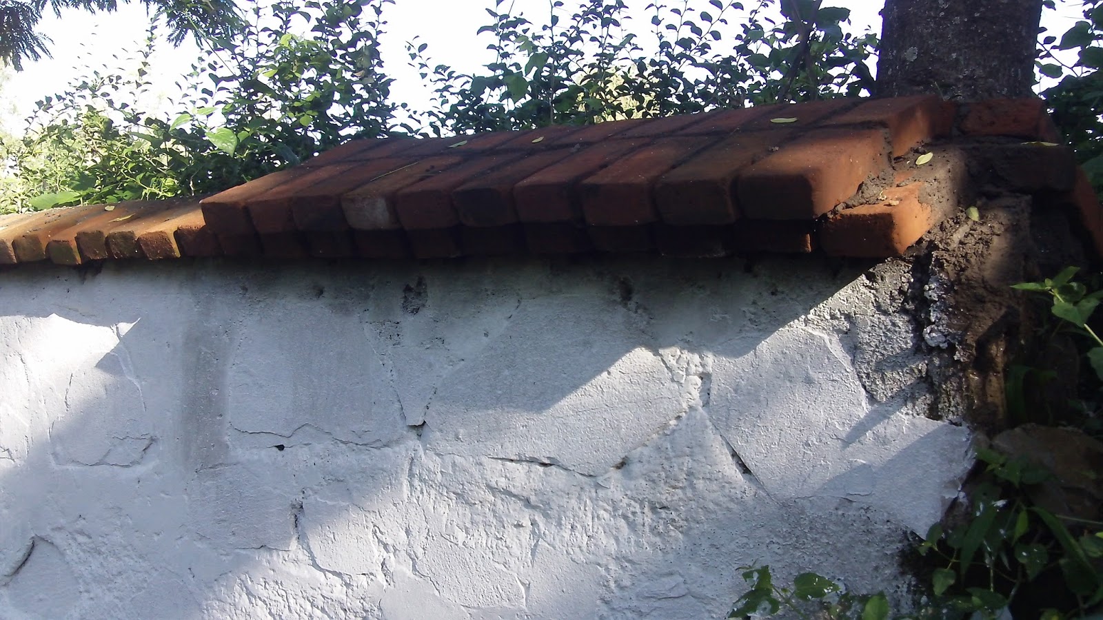 Alternative Building Construction : Lime white wash of rammed earth walls