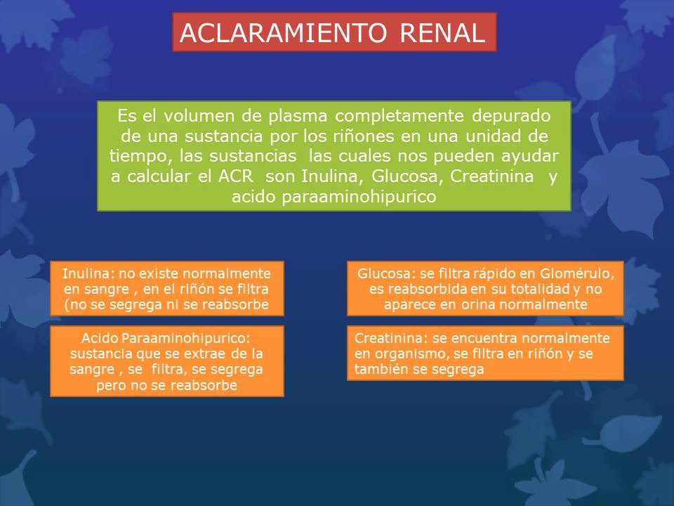 Blog de Fisiología Básica de Osel Alonso García Angulo: ACLARAMIENTO ...