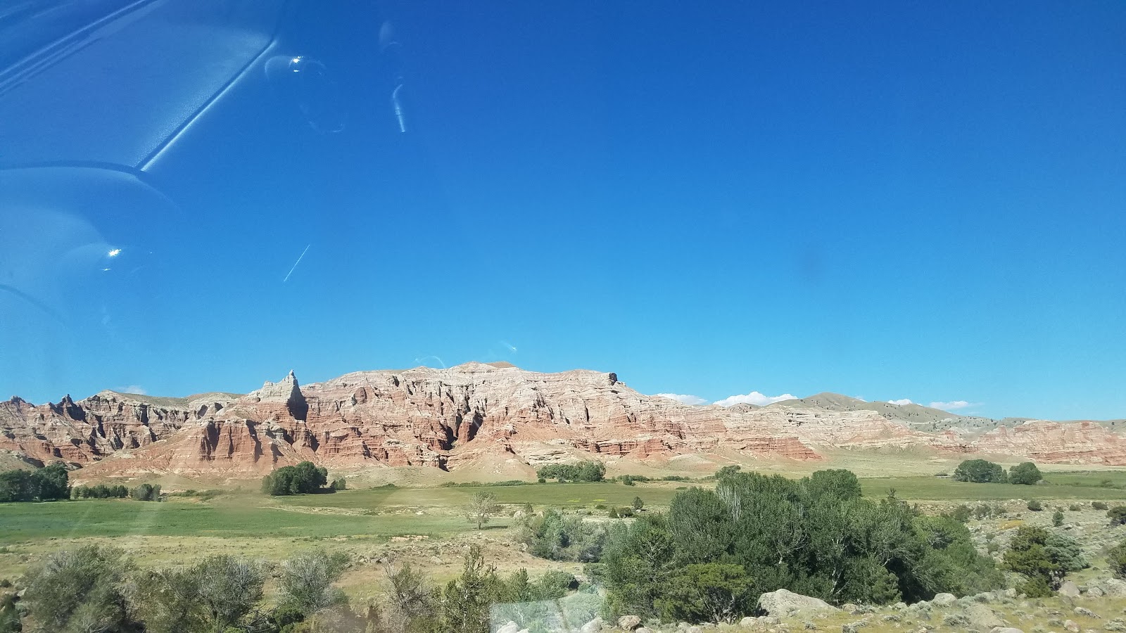 The Nellenbach Update