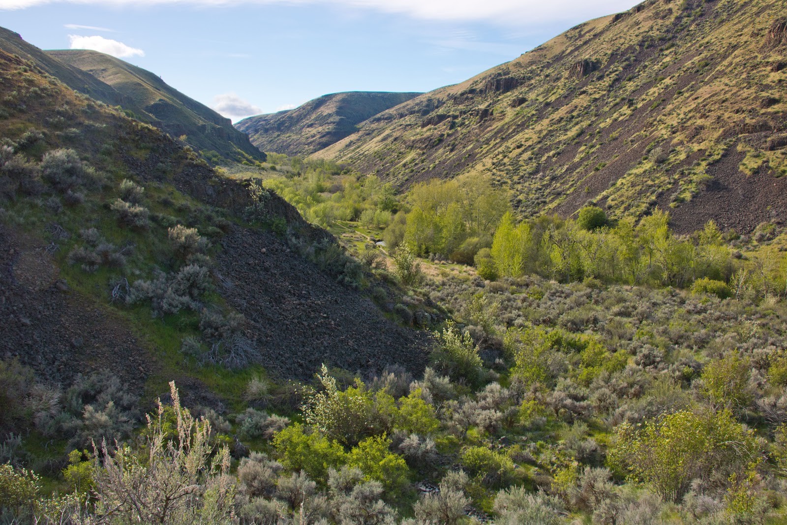 Hiking Shenandoah: Umtanum Ridge Crest