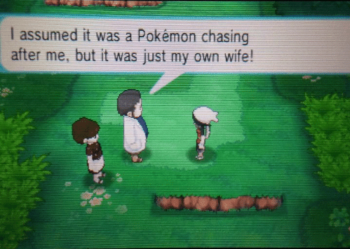 Professor Birch e a geografia dos Pokémon - Nintendo Blast