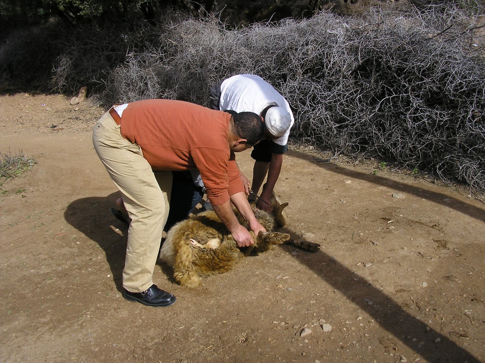 History Mysteries of Caroline Lawrence: Interview with a Roman Sewer Expert