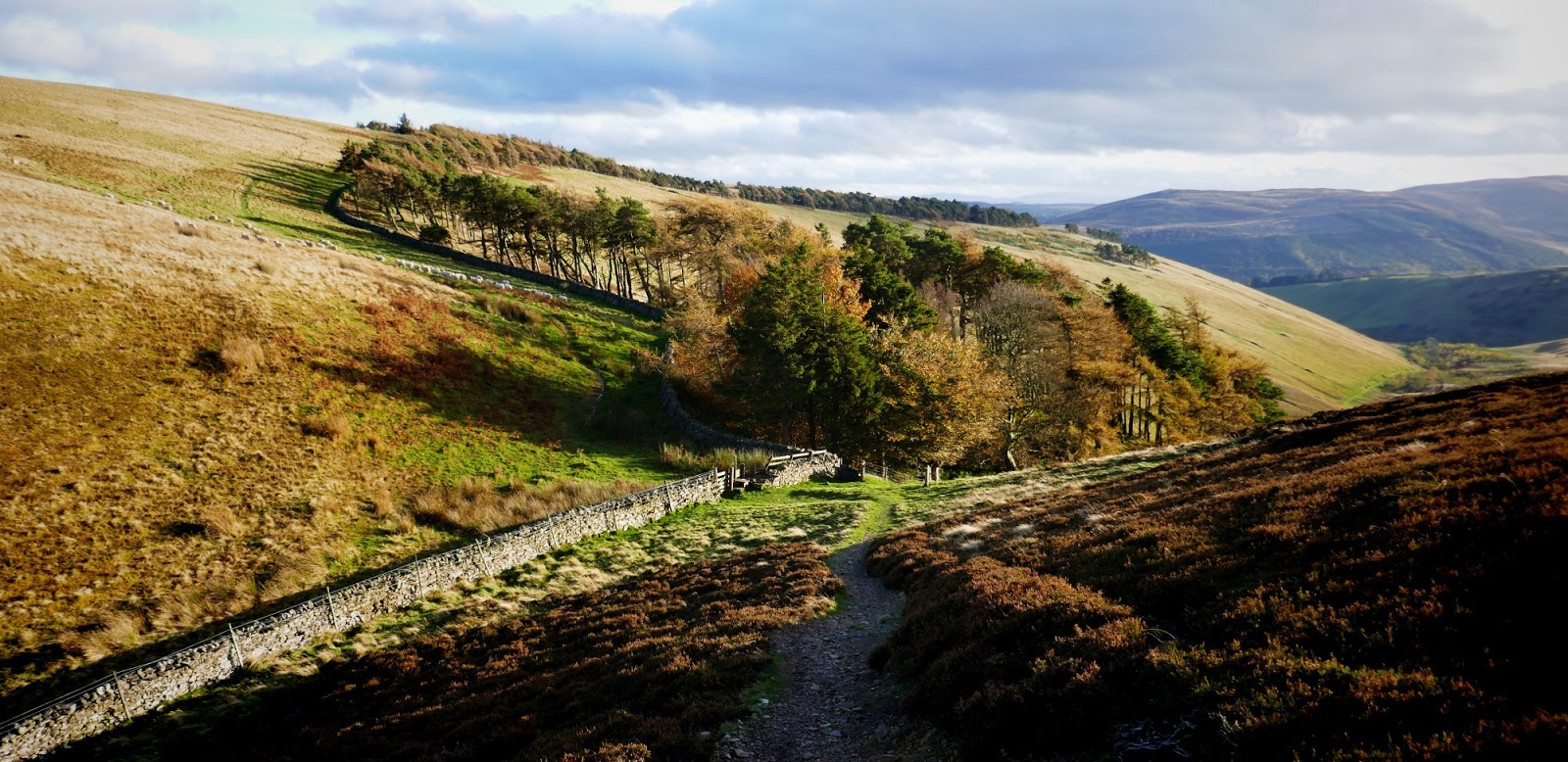 best part of the day: Tweed Valley Ultra Recce and Oct TB
