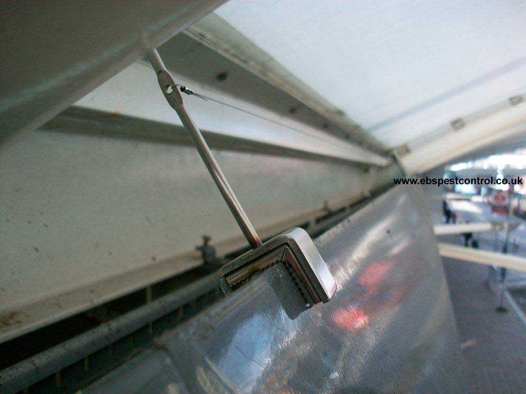 EBS Pest Control: Anti-perch wires