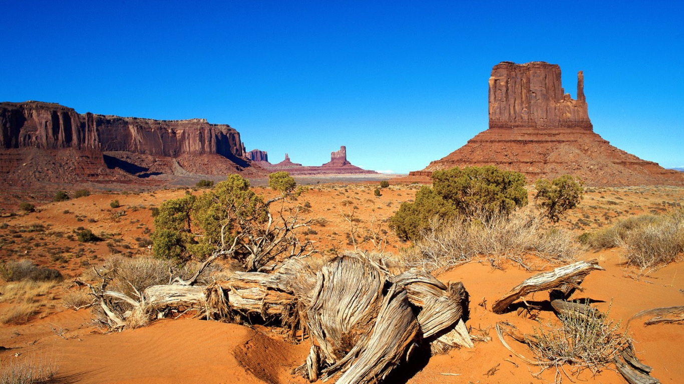 Woestijn Achtergronden