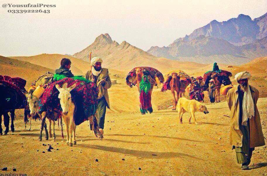 The Yousafzai State of Swat: Pashtunes Tribes Cochian
