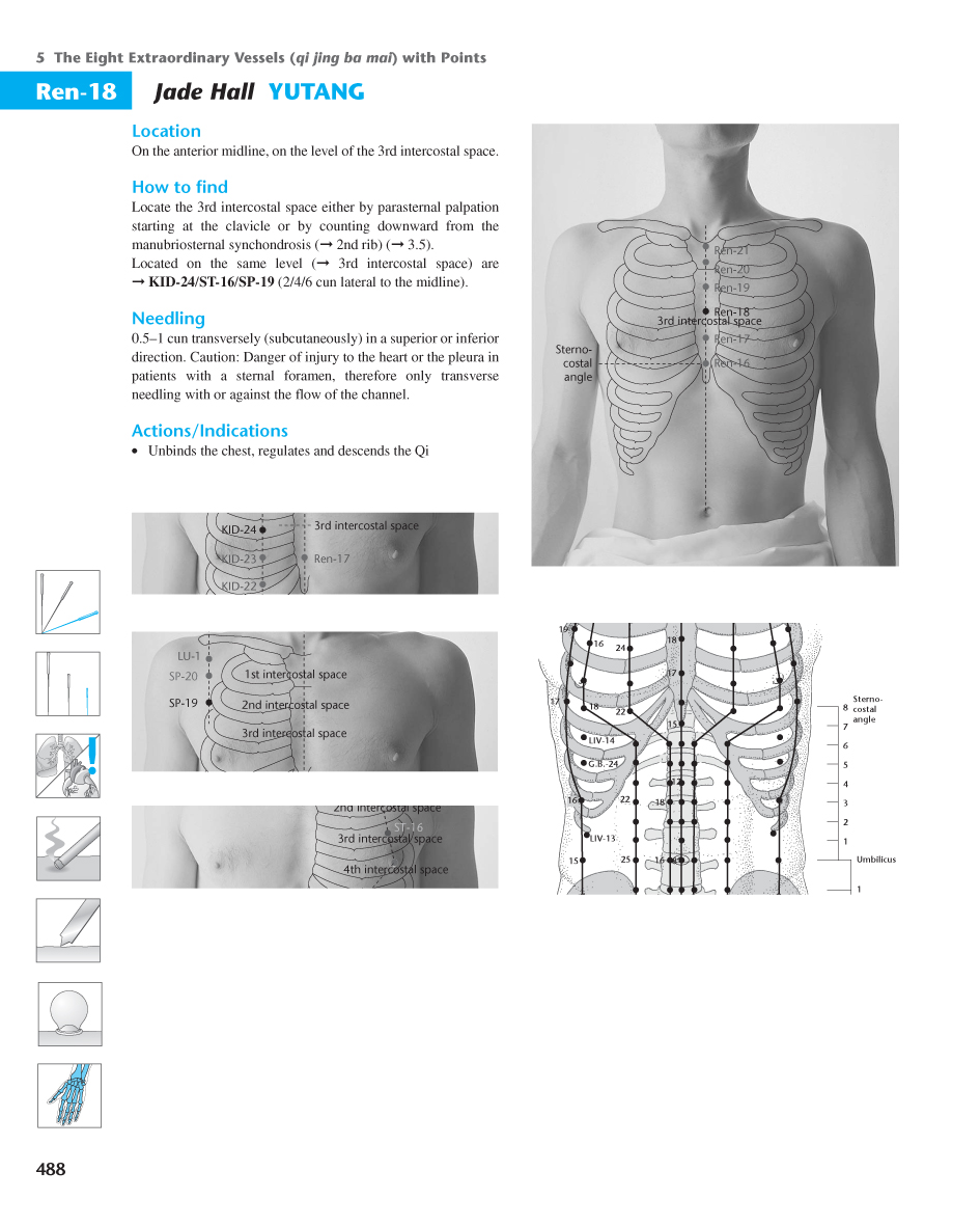 Acupuncture Masters: Acupuncture Points Database - Ren Channel