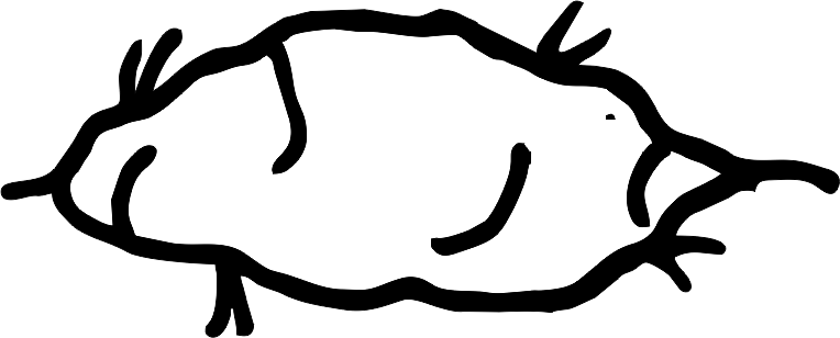 Yams Coloring Sheet Coloring Pages