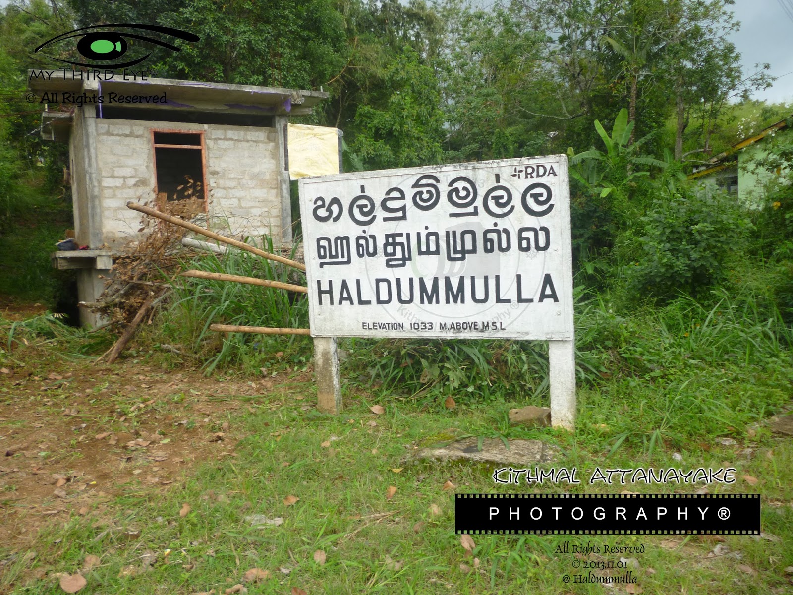 Beyond Through The Lens: Haldummulla