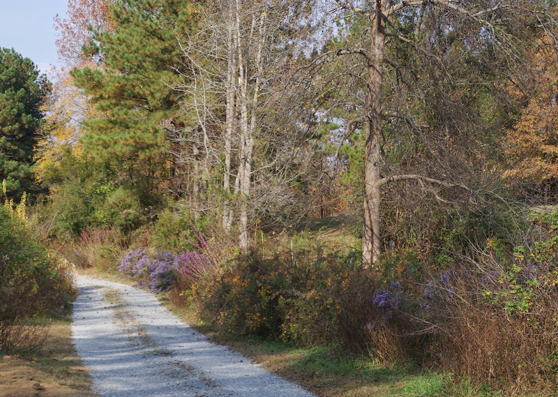 sweetbay: November 2014