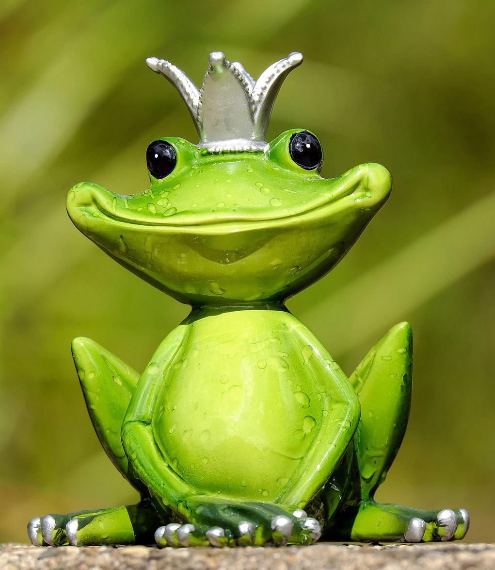 Inspiring stories: Deaf frog | Inspiring story