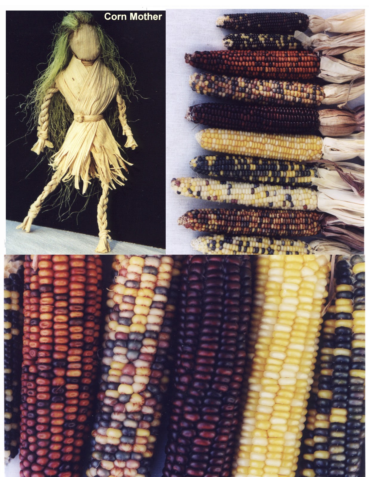 Michael Auld: The Yamaye Taino ("Arawak") of Jamaica revisited