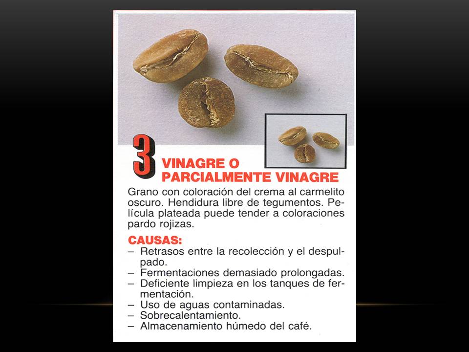 ASESORÍA CAFETERA: CONOSCA LOS DEFECTOS DEL CAFÉ