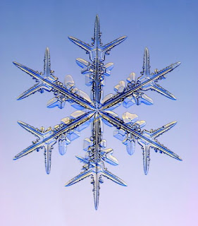 Heraldry of Life: ART with REAL SNOWFLAKES
