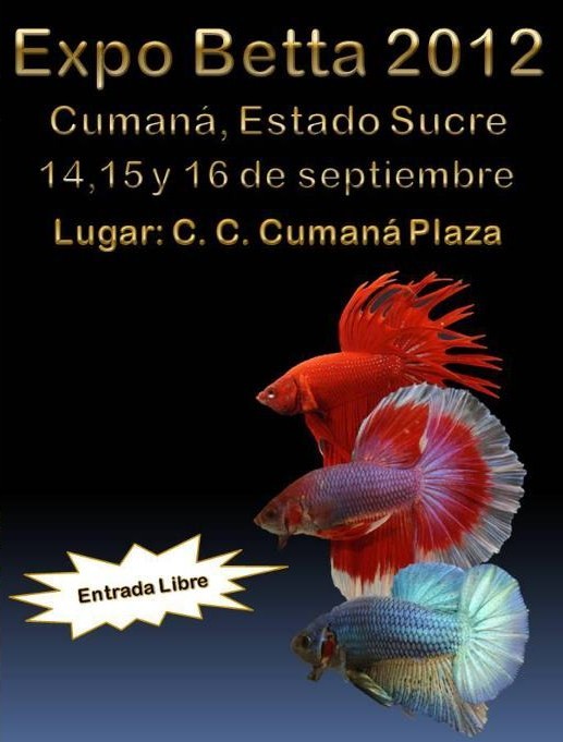 Gente Betta Venezuela
