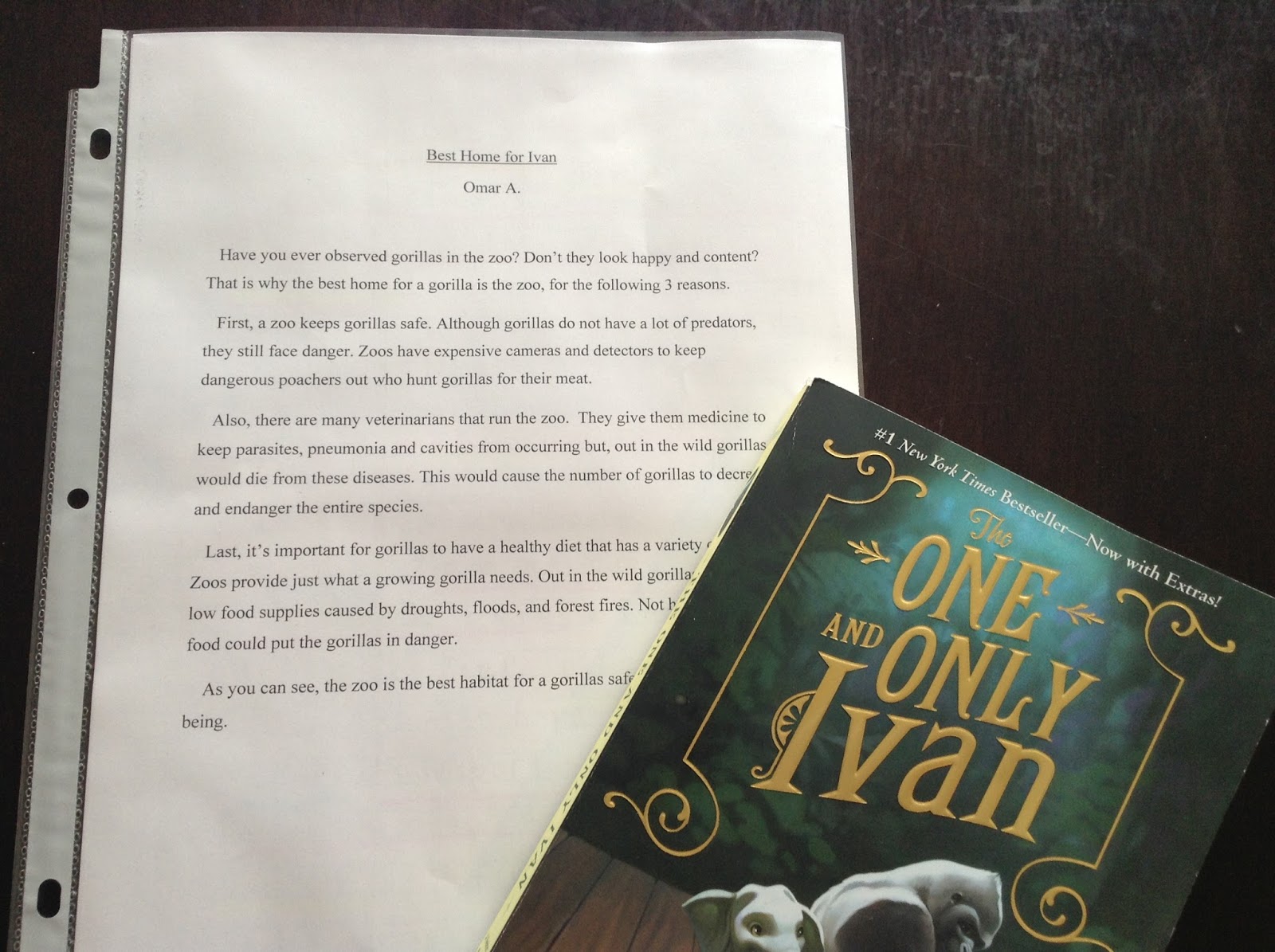 TeacherMomPlus3: The One and Only Ivan Book Activities