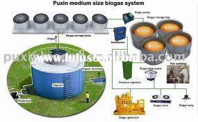 Bio Gas Plant: how to make electricity from gobar gas plant