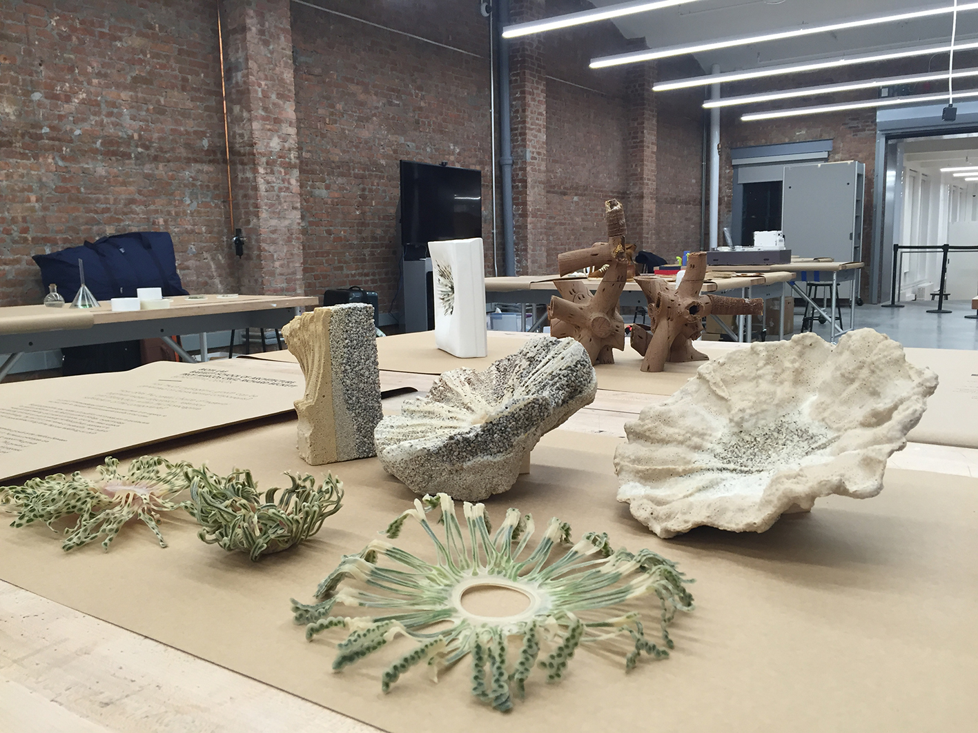 Marcos Cruz Architect