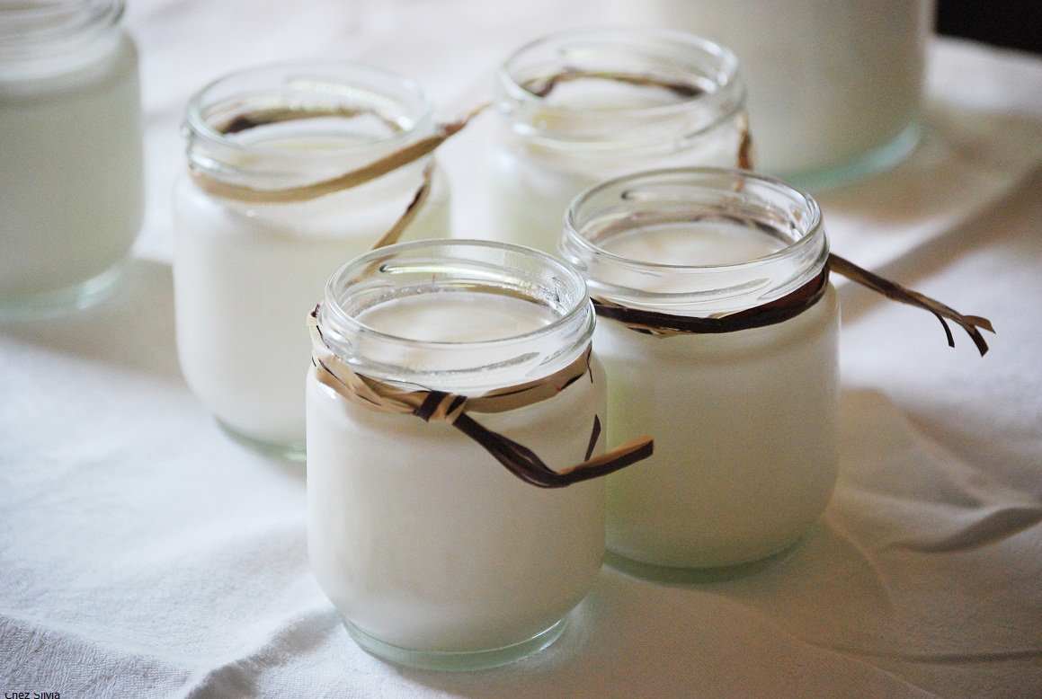 Mis primeros yogures. — Chez Silvia