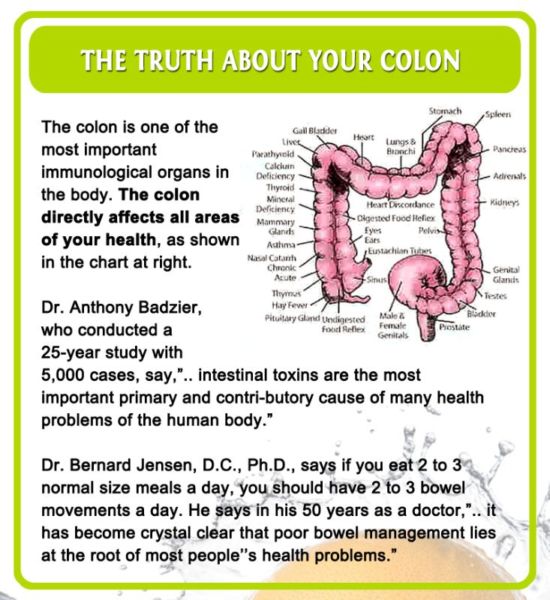 Colon Cleanse(Pre And Probiotic Fibre) Is Very Important For Good Health!