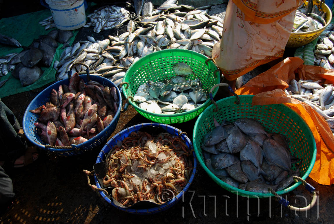 Kudpiraj's Garam Tawa: Fishing in Mangalore