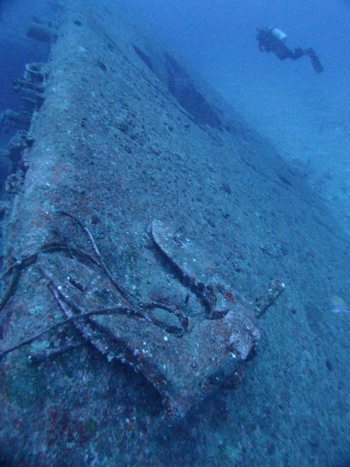 OKINAWA 39ers Dive Log: Deep Wreck "USS Emmons"