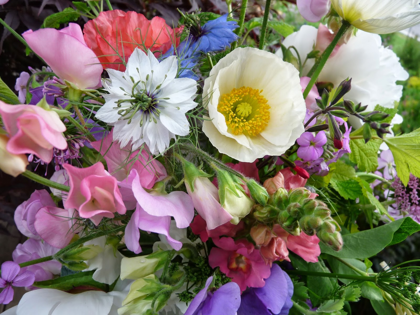 DEEP COVE FLOWERS: Petal Temptations