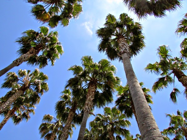 The Everyday: Adventuring // Jack of All Trades Market in Jack London ...