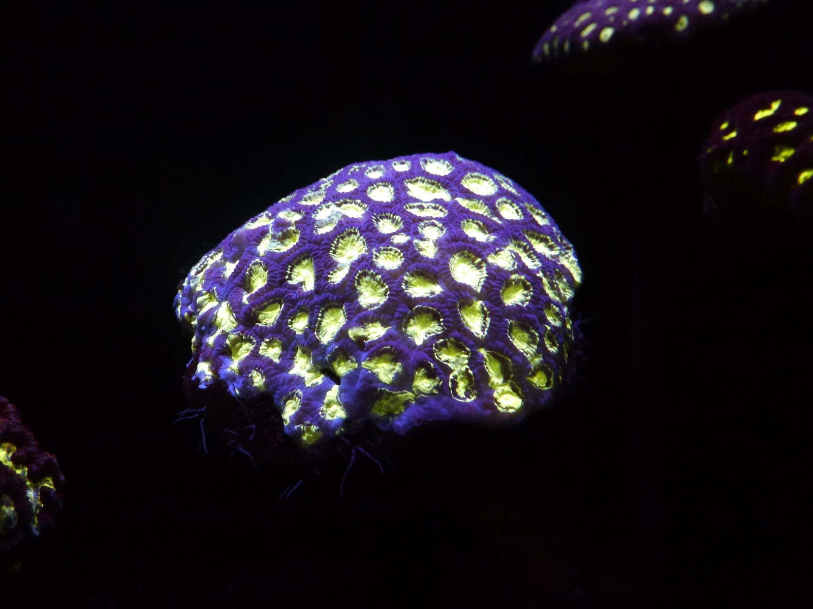 James McGarvey Designs