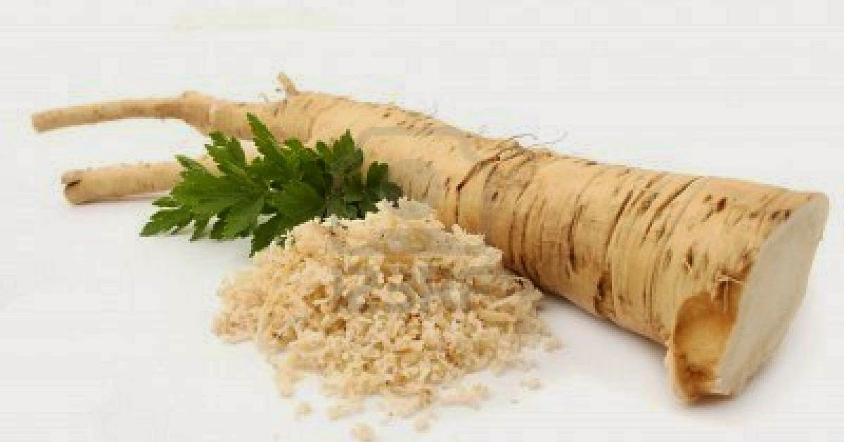 Chrzan- polski superfoods | Ekocentryczka